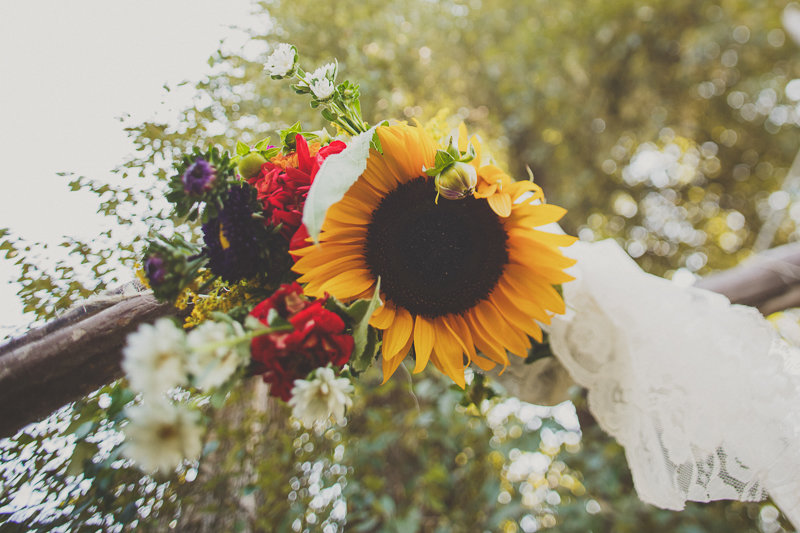 Carnation Tree Farm Wedding , Destination wedding Washington